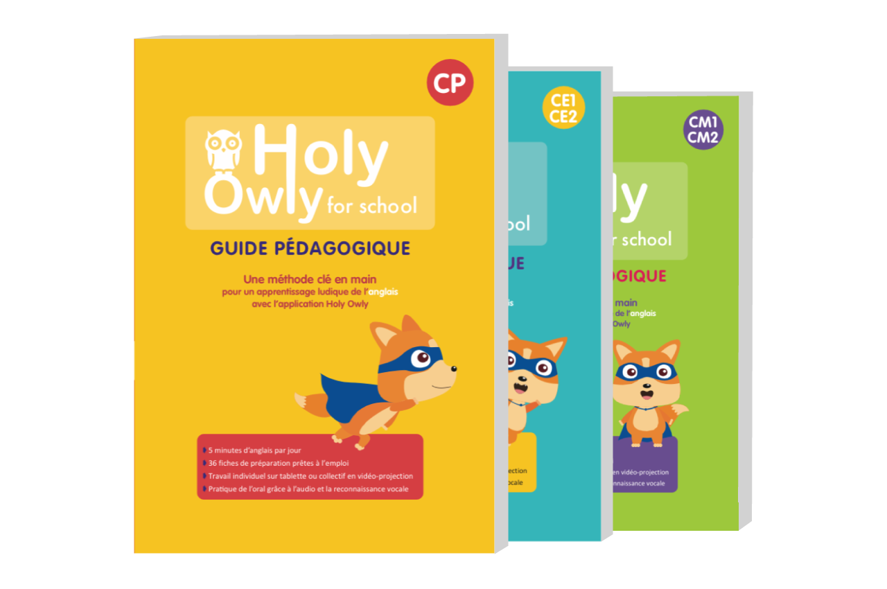 Holy Owly for School
